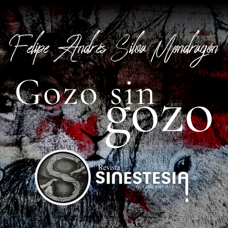 Gozo sin gozo | Revista Sinestesia